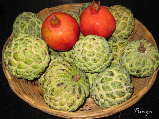 Creative and Crazy cooking for the Cool kids: Custard apple (Seethaphal)