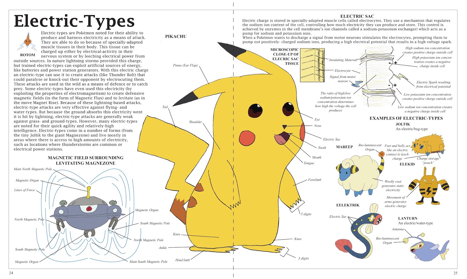 Pokemon Visual Dictionary page spread (2016)