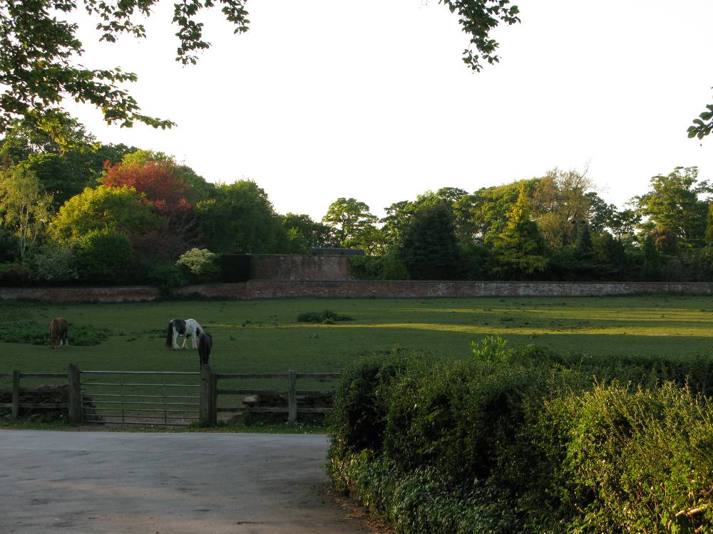 Nottingham - Strelley Hall: Strelley Hall