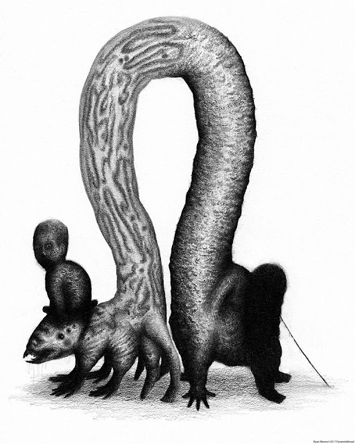 Sevasblog : things I like: Ryan Nieves