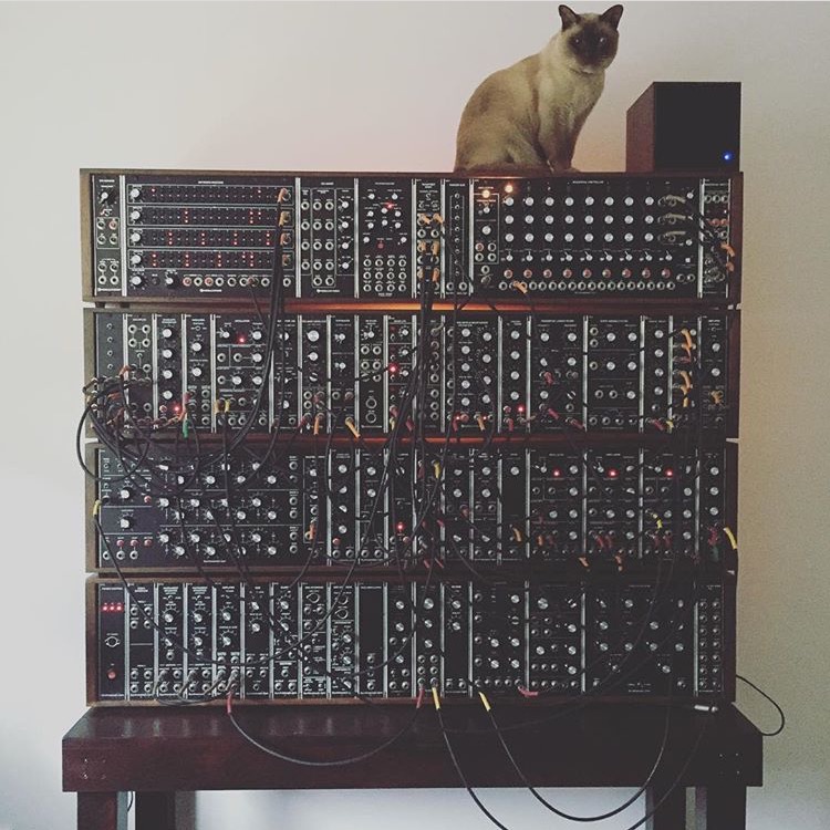 MATRIXSYNTH: 5U Modular Synth Cat