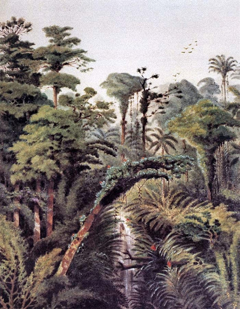 Estradas e caminhos: Guaraqueçaba, um pedaço do paraíso