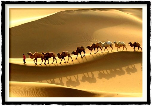 ! PALABRAS INTERESANTES, HERMOSAS, RARAS Y DIVERTIDAS: CÁFILA ...