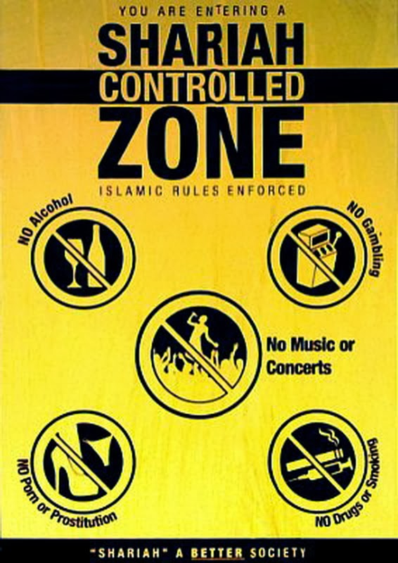 Культурные различия и политические границы в эпоху глобальных миграций ...