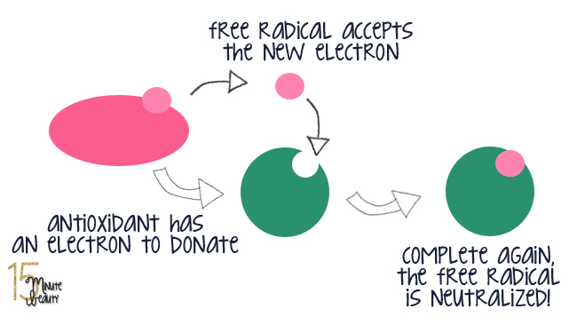 A Mom's Diary: Free radicals, antioxidants and Izumio