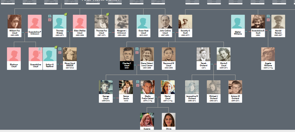 Masha Lloyd's blog: February 2019