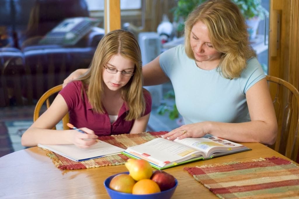 The Teen Economists: The Effect of Homeschooling on the Economy