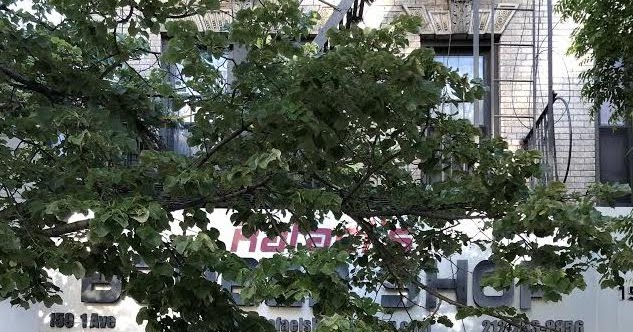 EV Grieve: Rafael's Barber Shop on the move around the corner