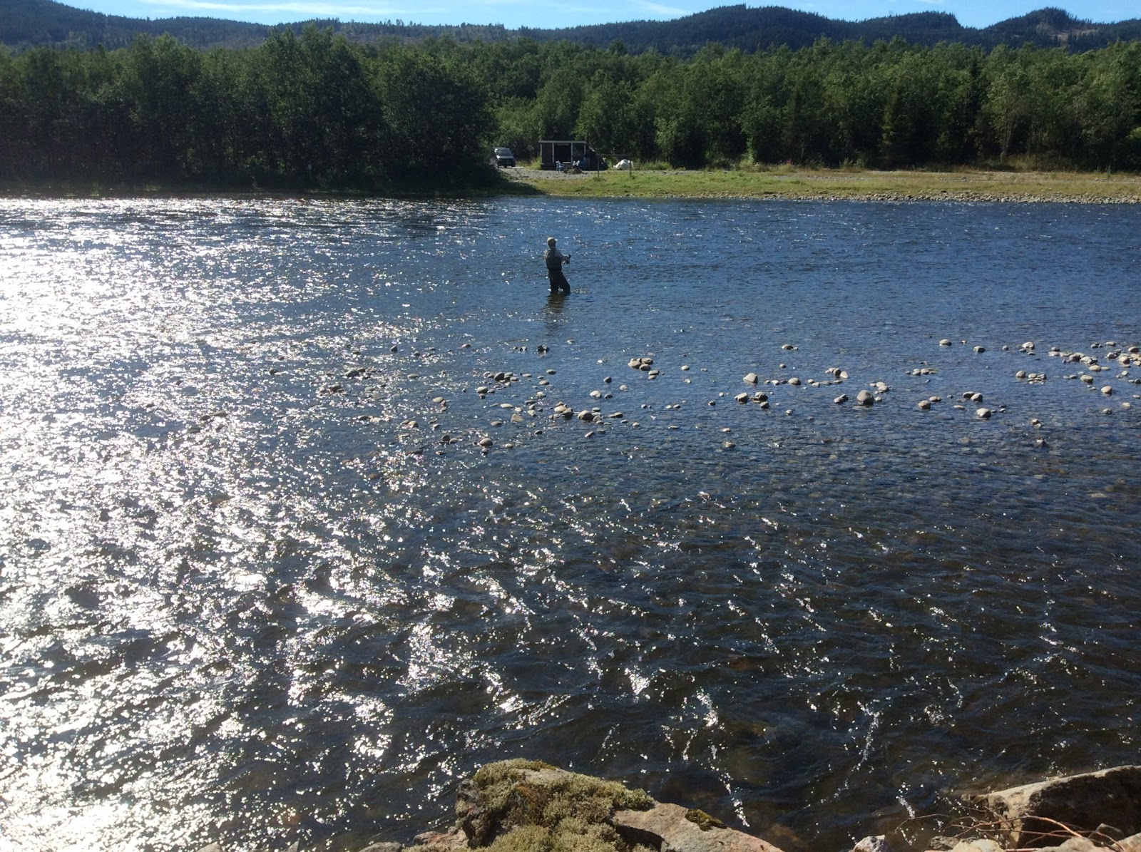 ORKLA RIVER LODGE Salmonfishing Norway: -FISHING