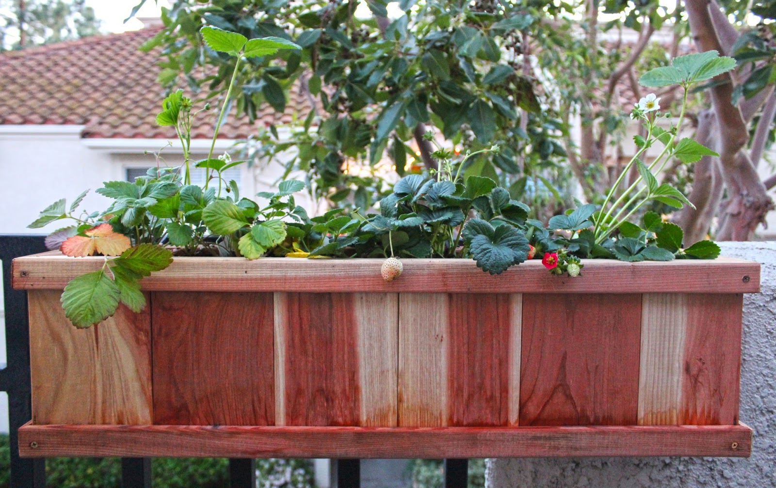 Courtney's Edible Garden: Weekend Project: Railing Planters "Strawberry ...