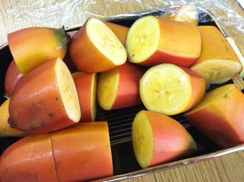 Manfaat Pisang Merah Untuk Ibu Hamil - Jenis Pisang Dan Manfaatnya