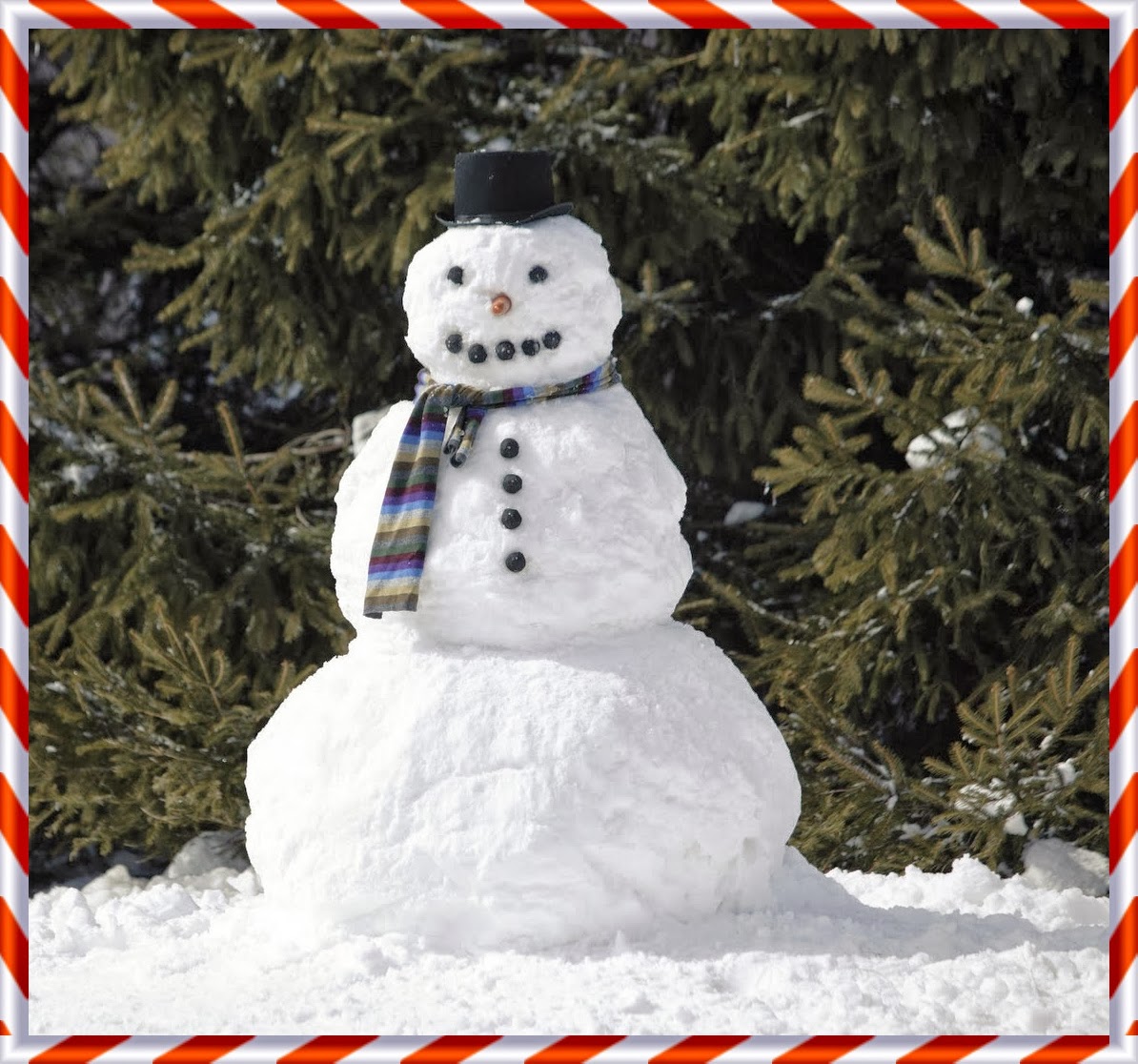 Mi.Nuestro.Mundo: Muñecos De Nieve