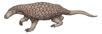 Los animales en la prehistoria: junio 2013