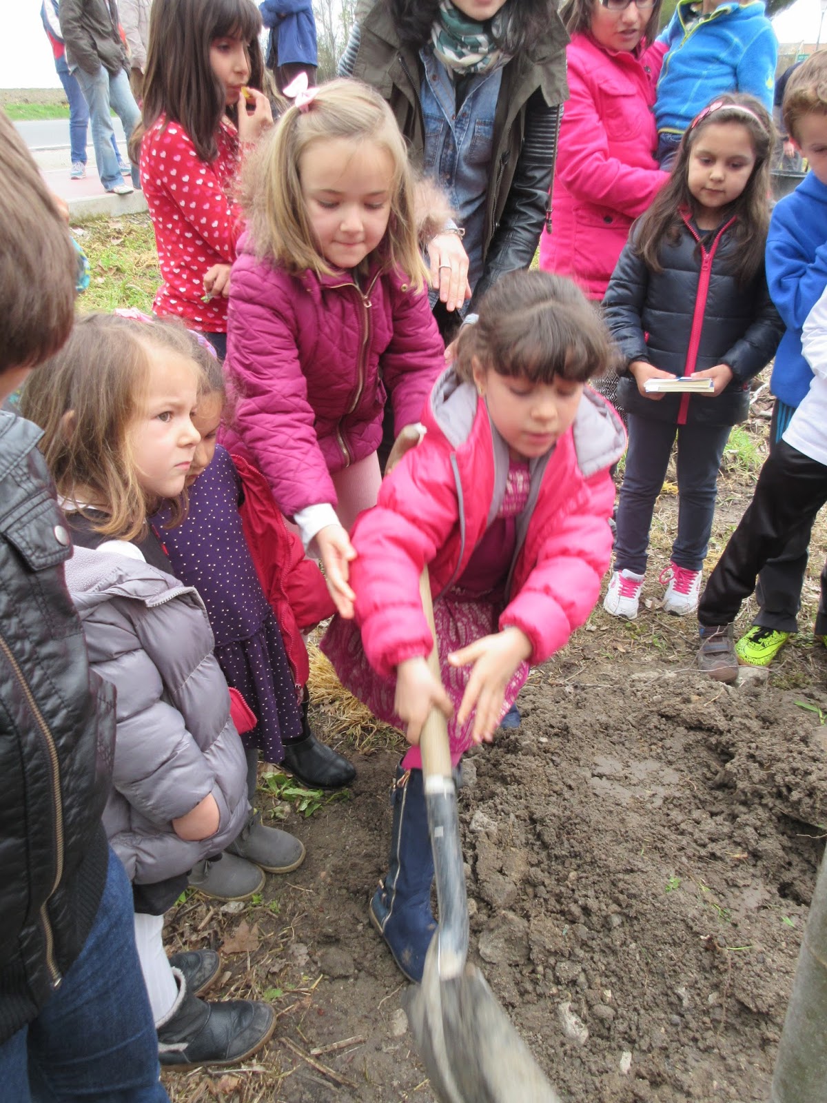 Colegio de Aldea Real: CELEBRACIONES
