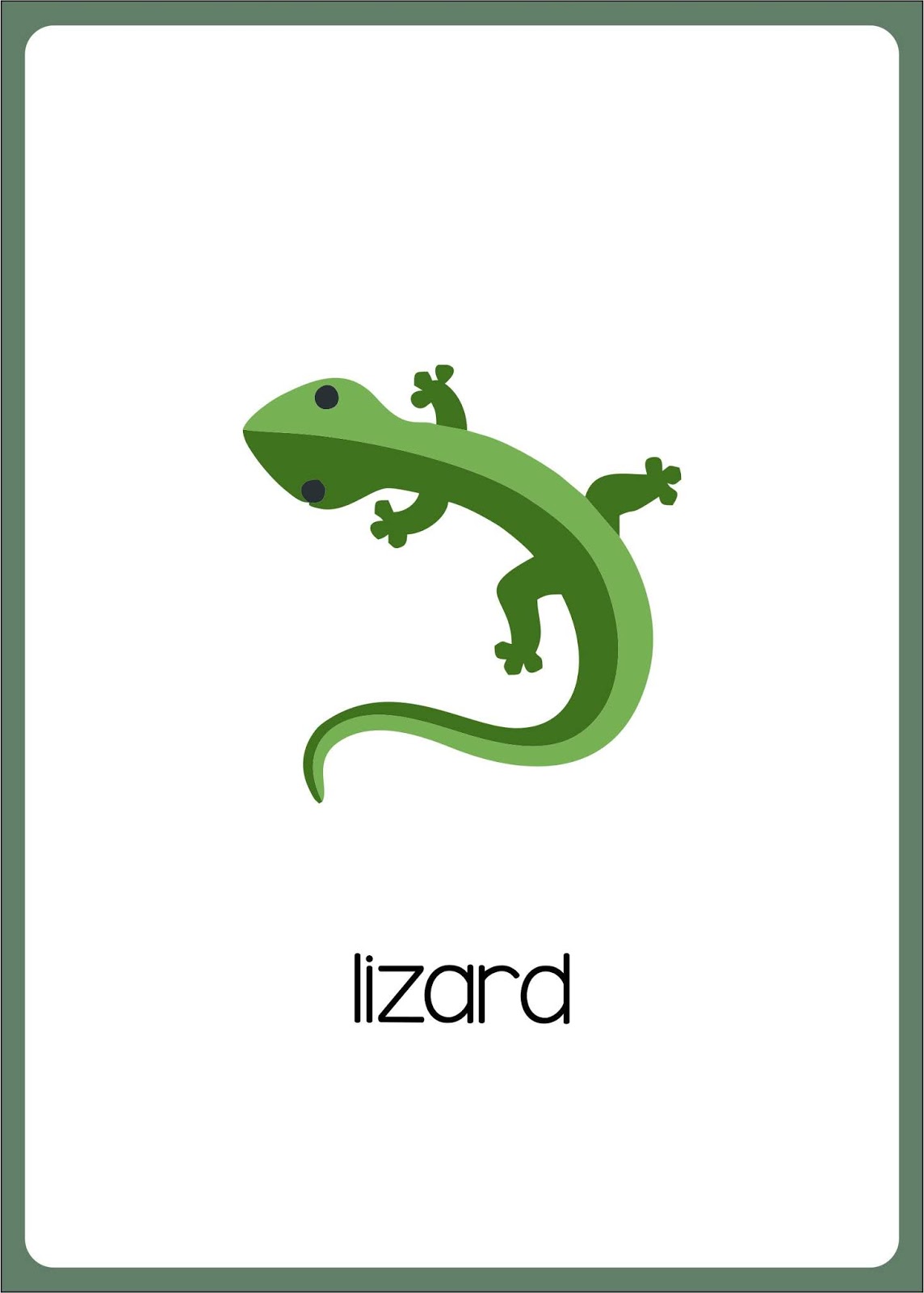 ANIMAL FLASHCARDS - BABY FIRST WORDS