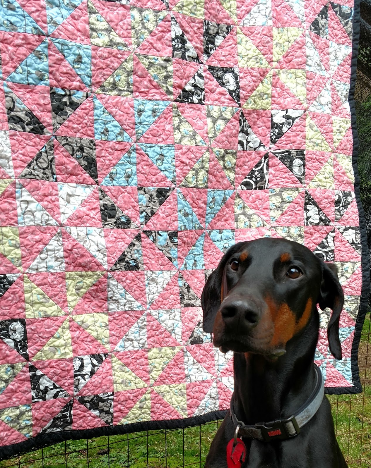 The Quilting Doberman