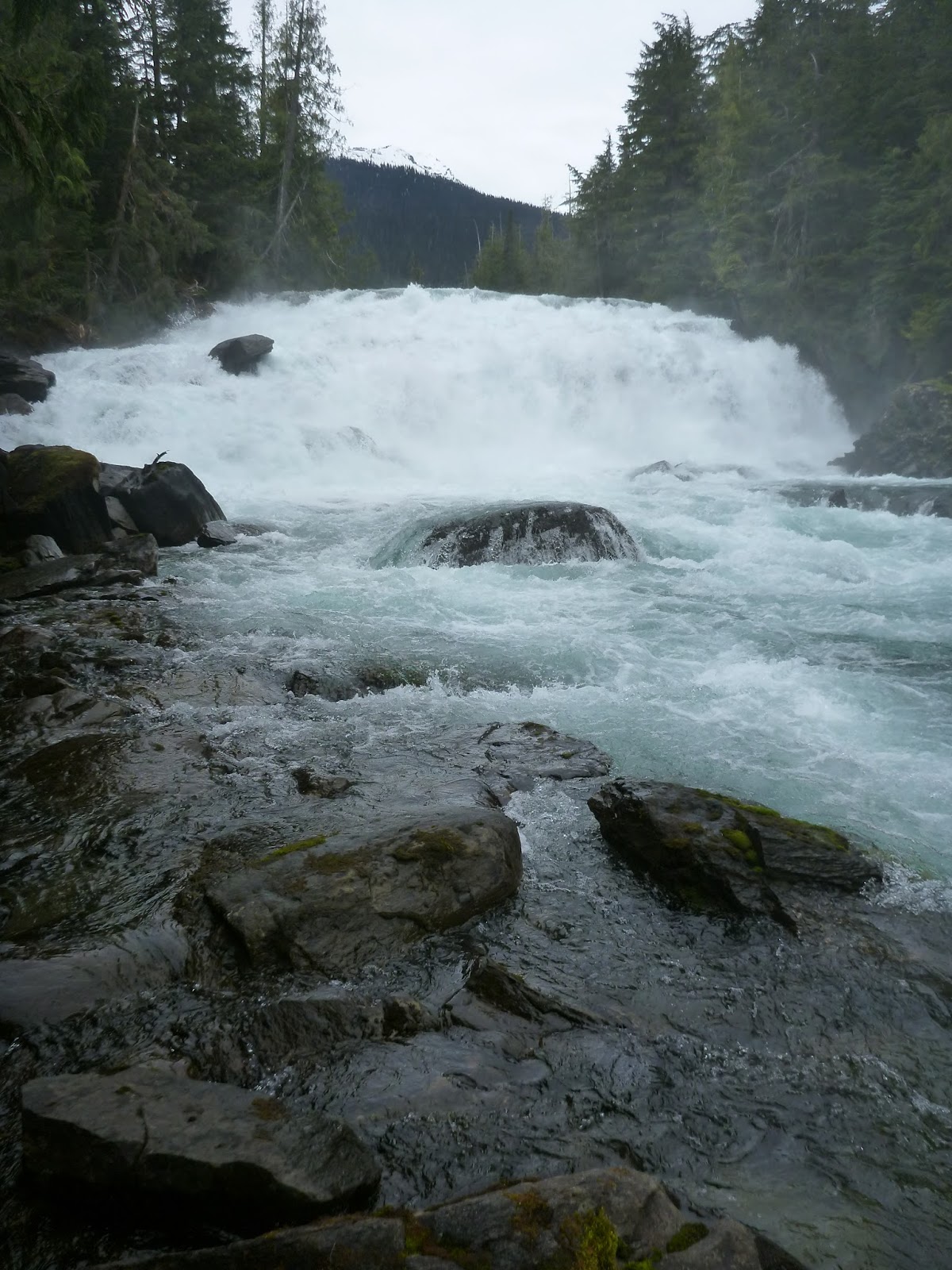 Beyond the Skyline: Bowron Lakes Chain: Am I a Proper Canoeist Now?