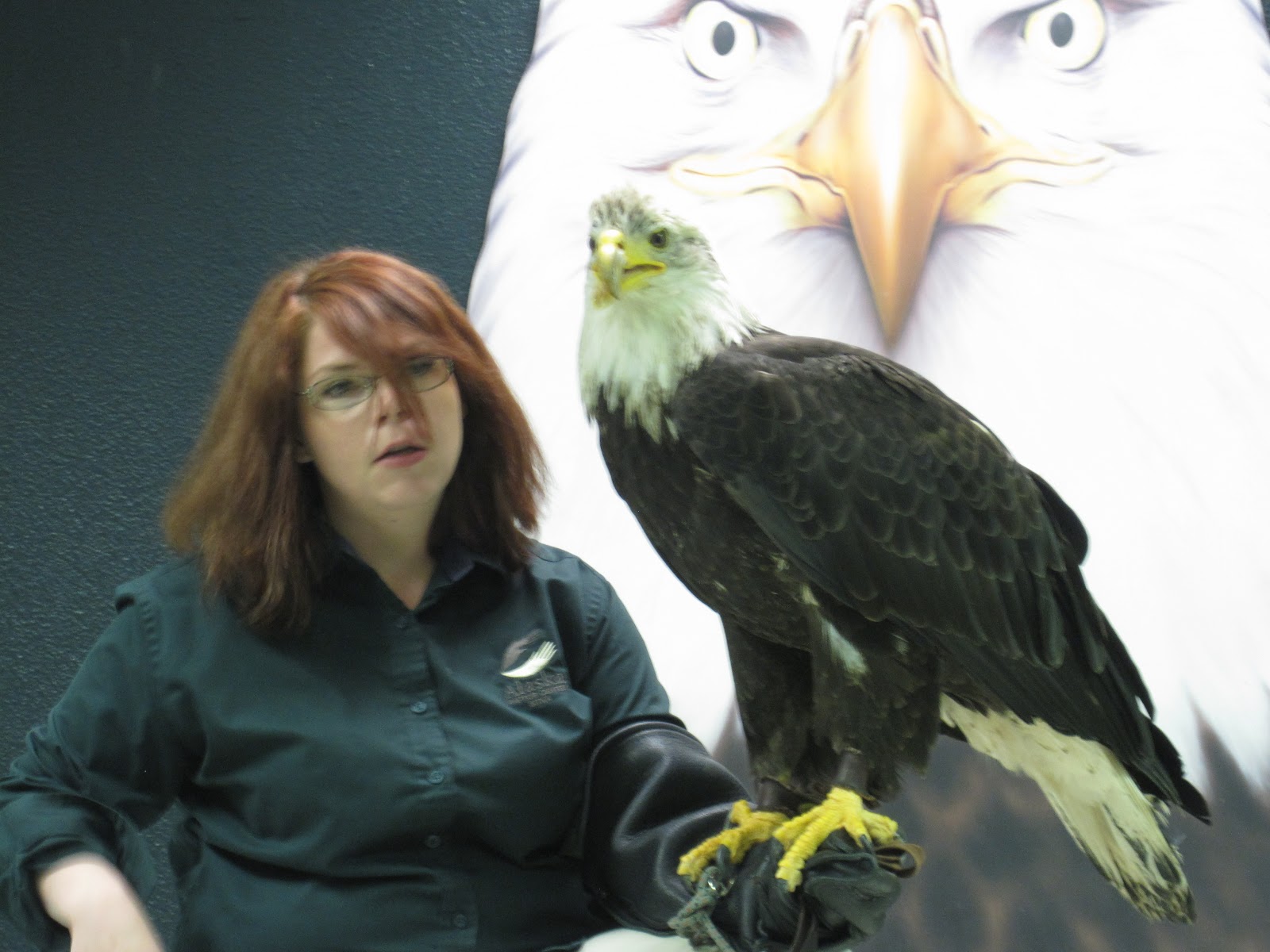 Living in Wild Alaska: Sitka's..... Alaska Raptor Center