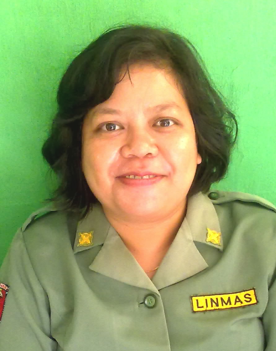 PUSKESMAS SIDOHARJO TULANG BAWANG: RENCANA KEGIATAN PROGRAM PENGOBATAN ...