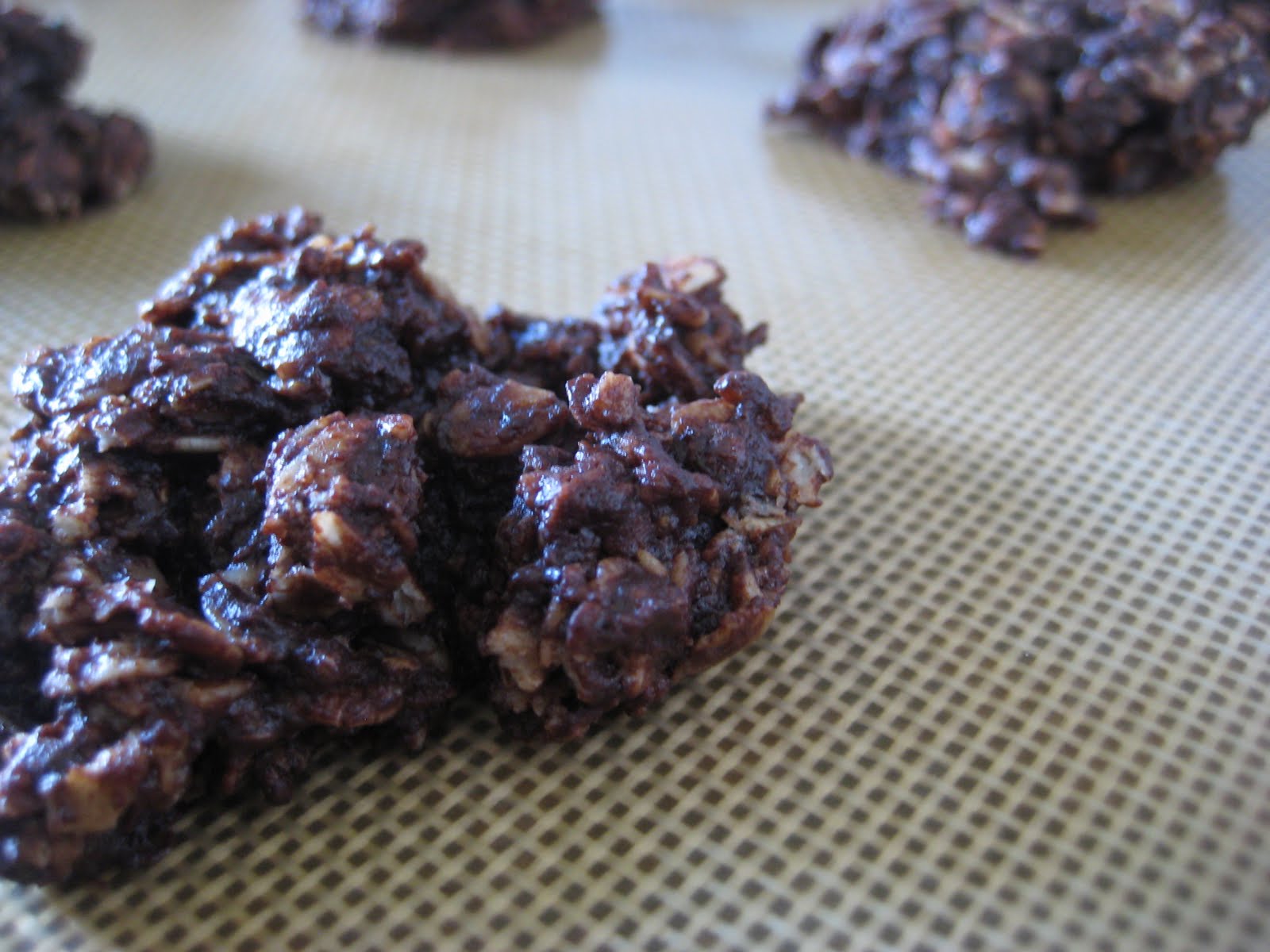 Safely Gathered In: Food Storage Friday: Chocolate Oatmeal Cluster Cookies