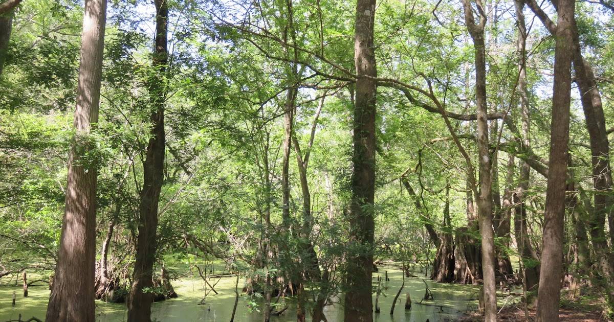 Dan Jo et Maximo: Hart Springs, Bell, FL.12 au 15 avril 2018.