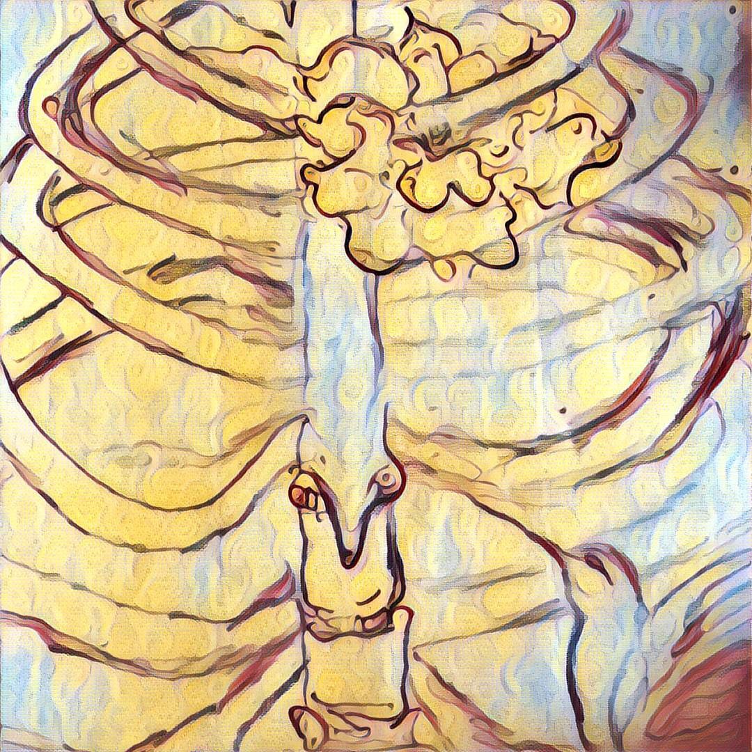 Artists Tell Their Stories: Jen Rouse, Poet & Playwright, Tells Her Story