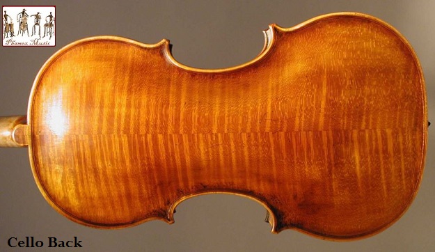 The Cello Anatomy ~ Phamox Musiq