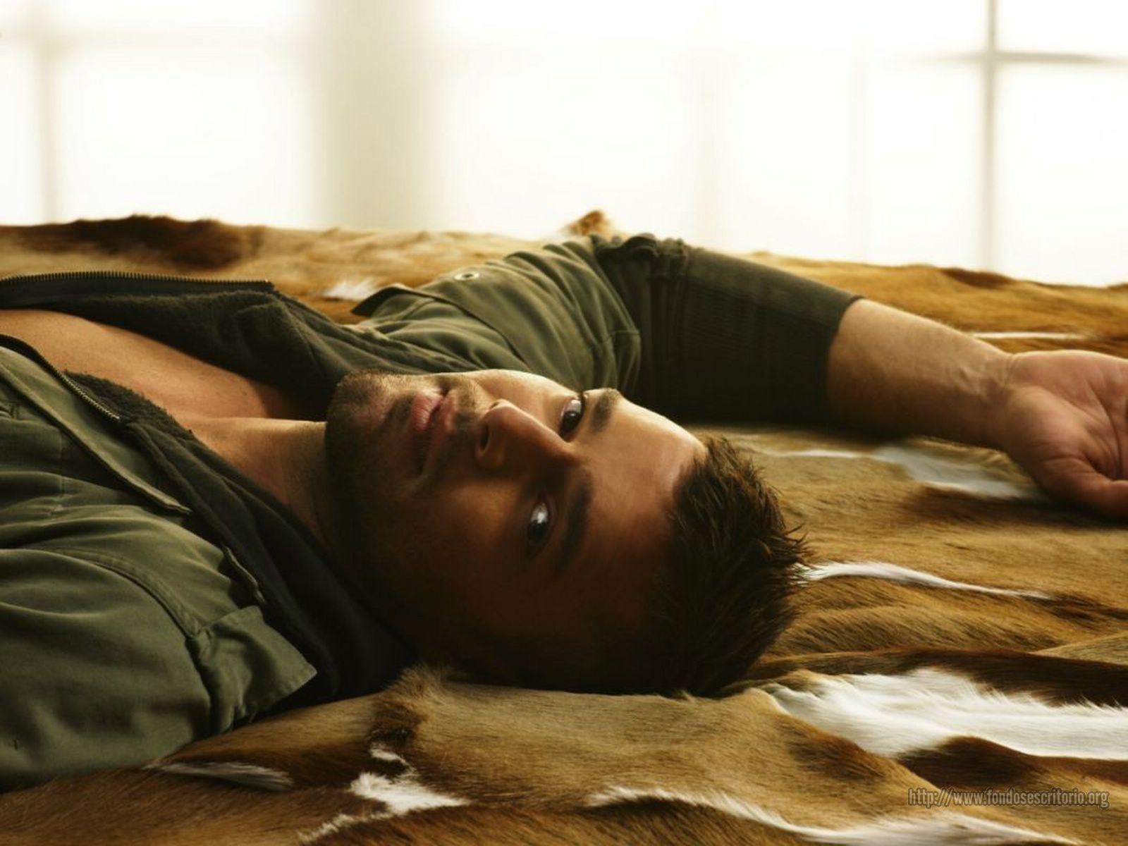 Imagenes y Wallpapers de Ricky Martin