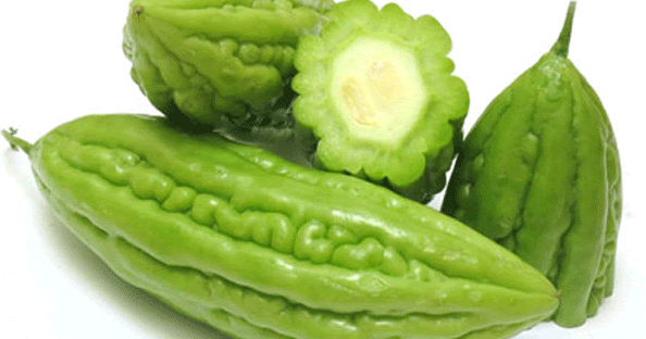 PERIA SAYUR YANG PAHIT TAPI BANYAK KHASIAT | Ceritera Si Gadis Biru