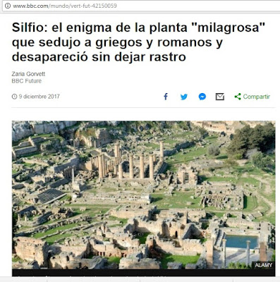 PUBLICADOS BRASIL: Sílfio - A planta “milagrosa” que deixou gregos e ...