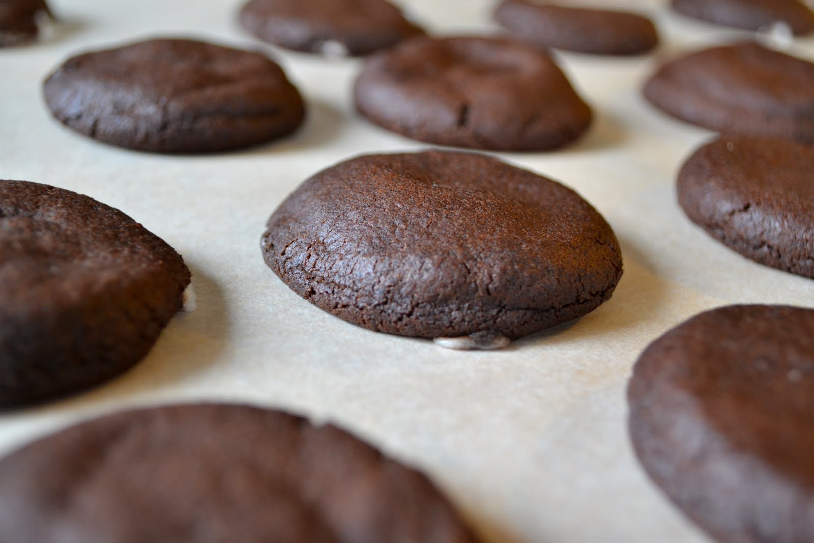 p.s.♡: tasty tuesday: chocolate mint patty cookies