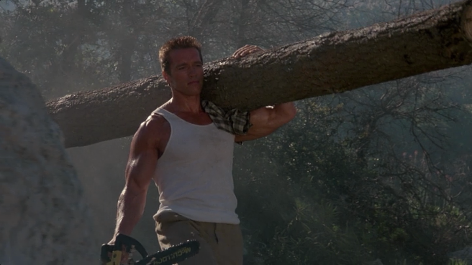 Commando (1985) - AoM: Movies et al.