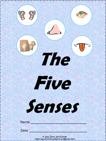 A Muslim Child is Born: The 5 Senses Theme Pack (Pre-School/Kindergarten)
