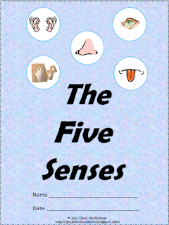 A Muslim Child is Born: The 5 Senses Theme Pack (Pre-School/Kindergarten)