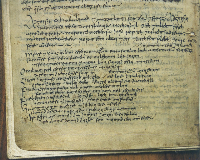 A N G L A N D I C U S: Mise agus Pangur Bán! I and white Pangur!