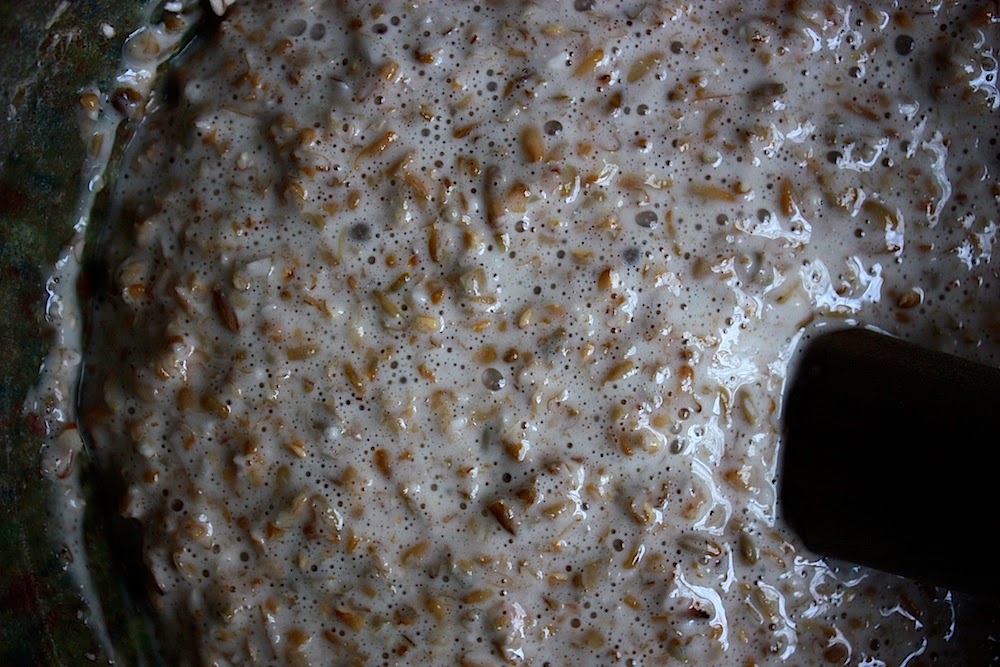 Tartine Bread Experiment: Roggen Vollkornbrot (well, almost)