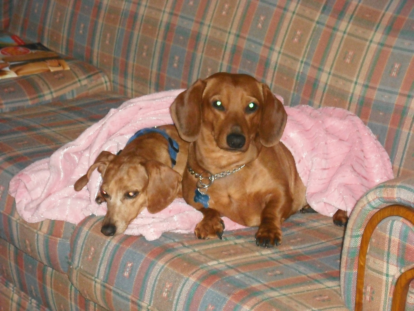 Sprinkles to Kindergarten!: Throwback Thursday: Our Weekend Friend