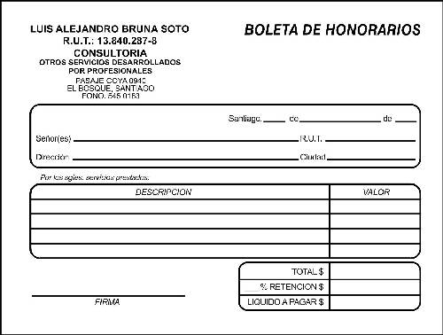 Creando empresa en Chile!: Boletas de Honorarios (Ejemplos)