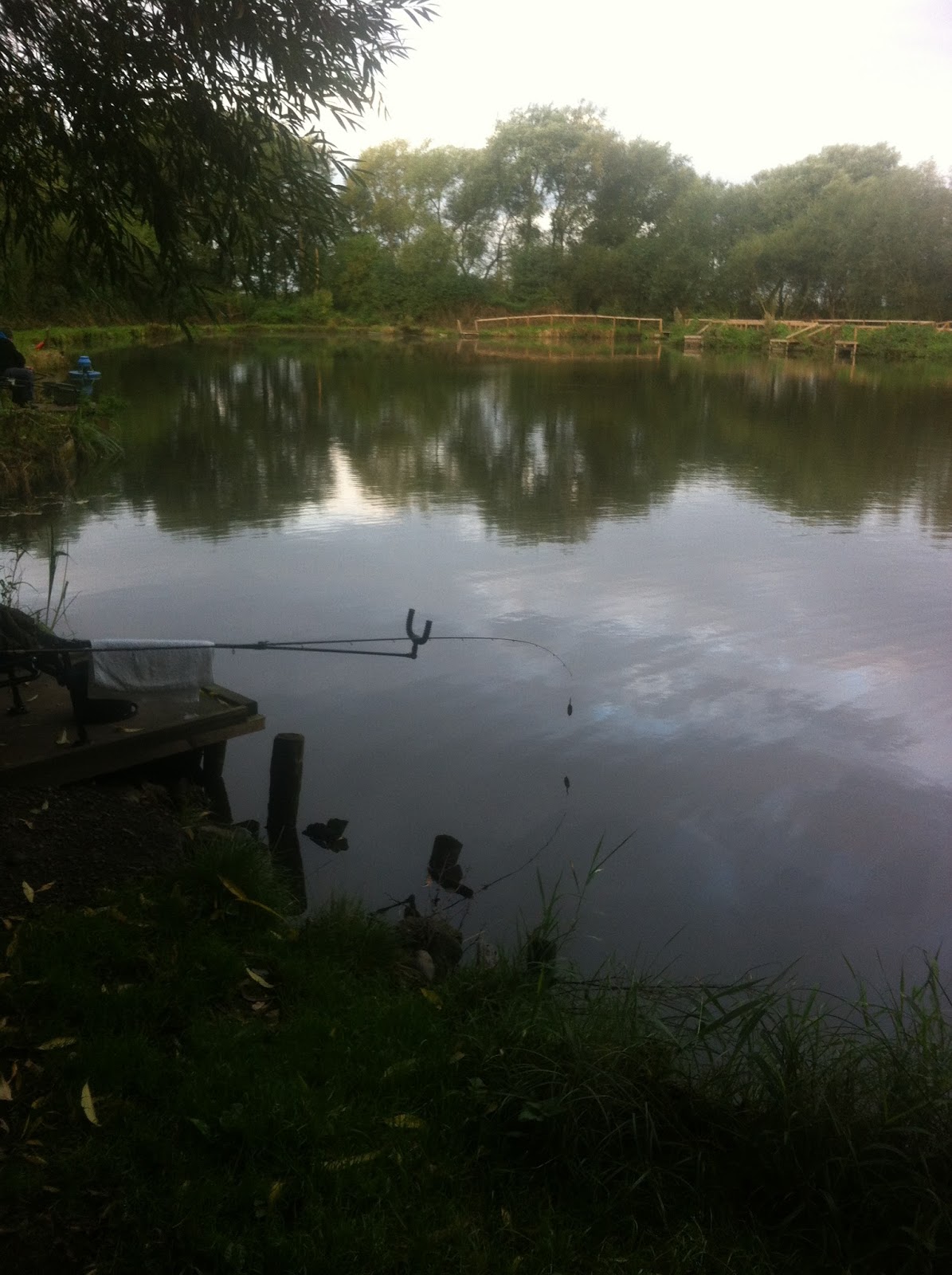 UK fishing venues: Woodlands Lakes (Willowgarth Lake) - Venue Review