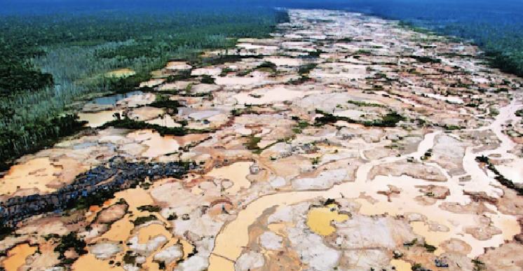 Ecorregión selva alta : CONOCIENDO LA SELVA DEL PERÚ