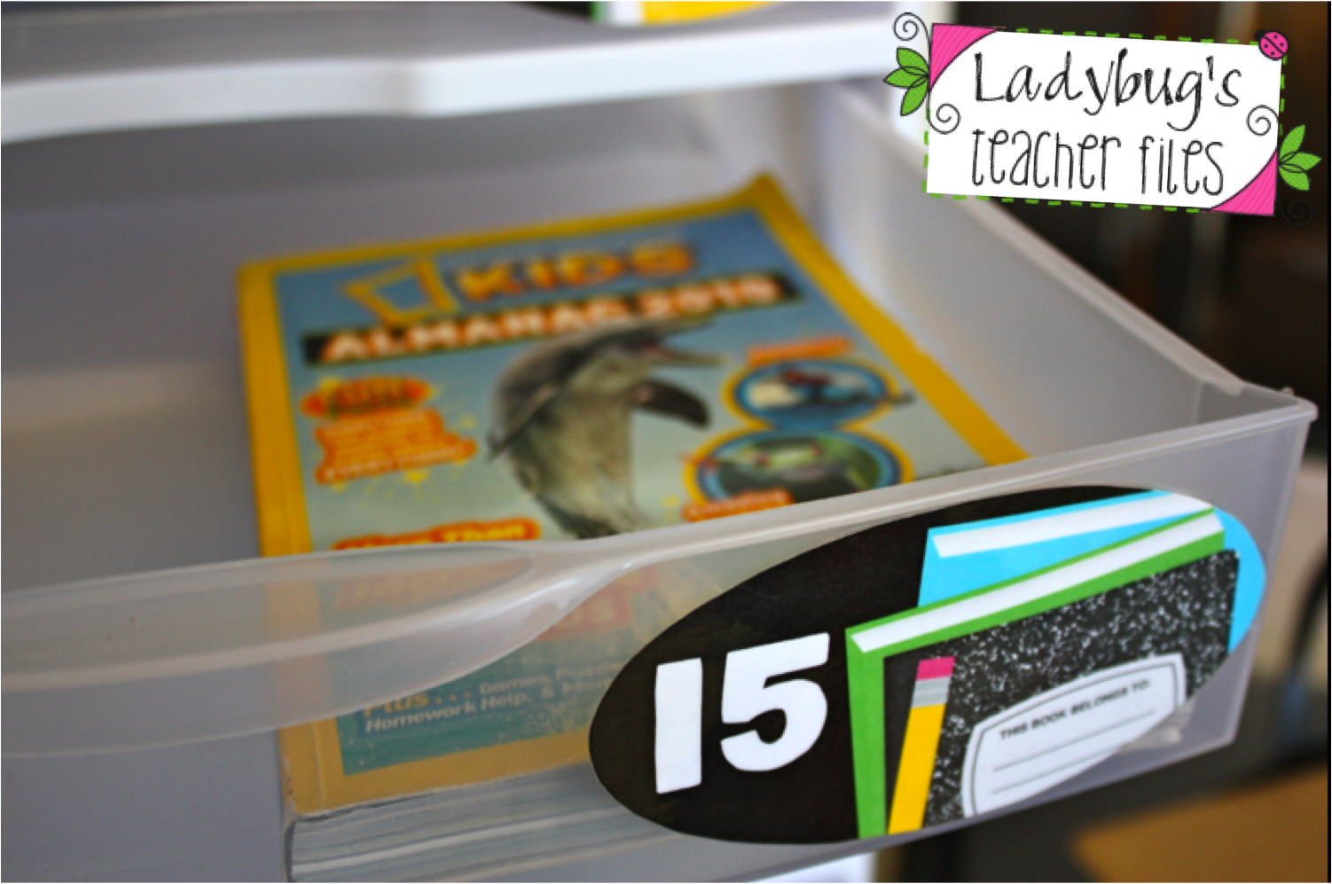 Storage Drawers for Student Tables - Ladybug's Teacher Files