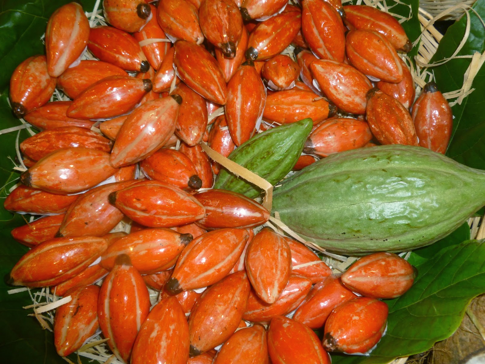 Donalu Saboneteria: Frutas