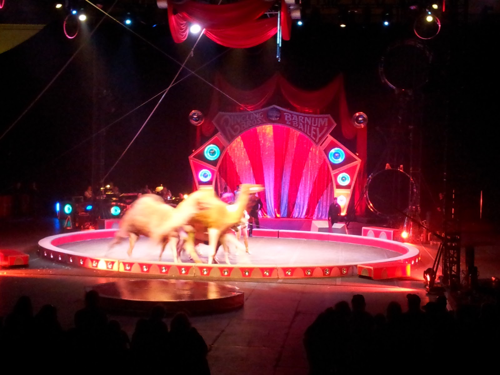 Ringling Bros. & Barnum Bash Circus (3/11/12)