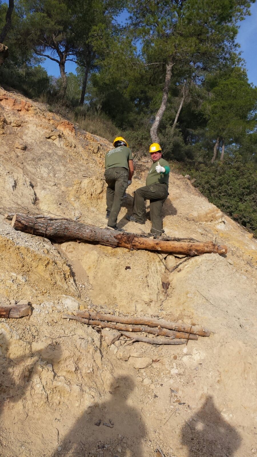 Taller de Empleo Vilamarxant Repoblaciones Forestales y Tratamientos ...