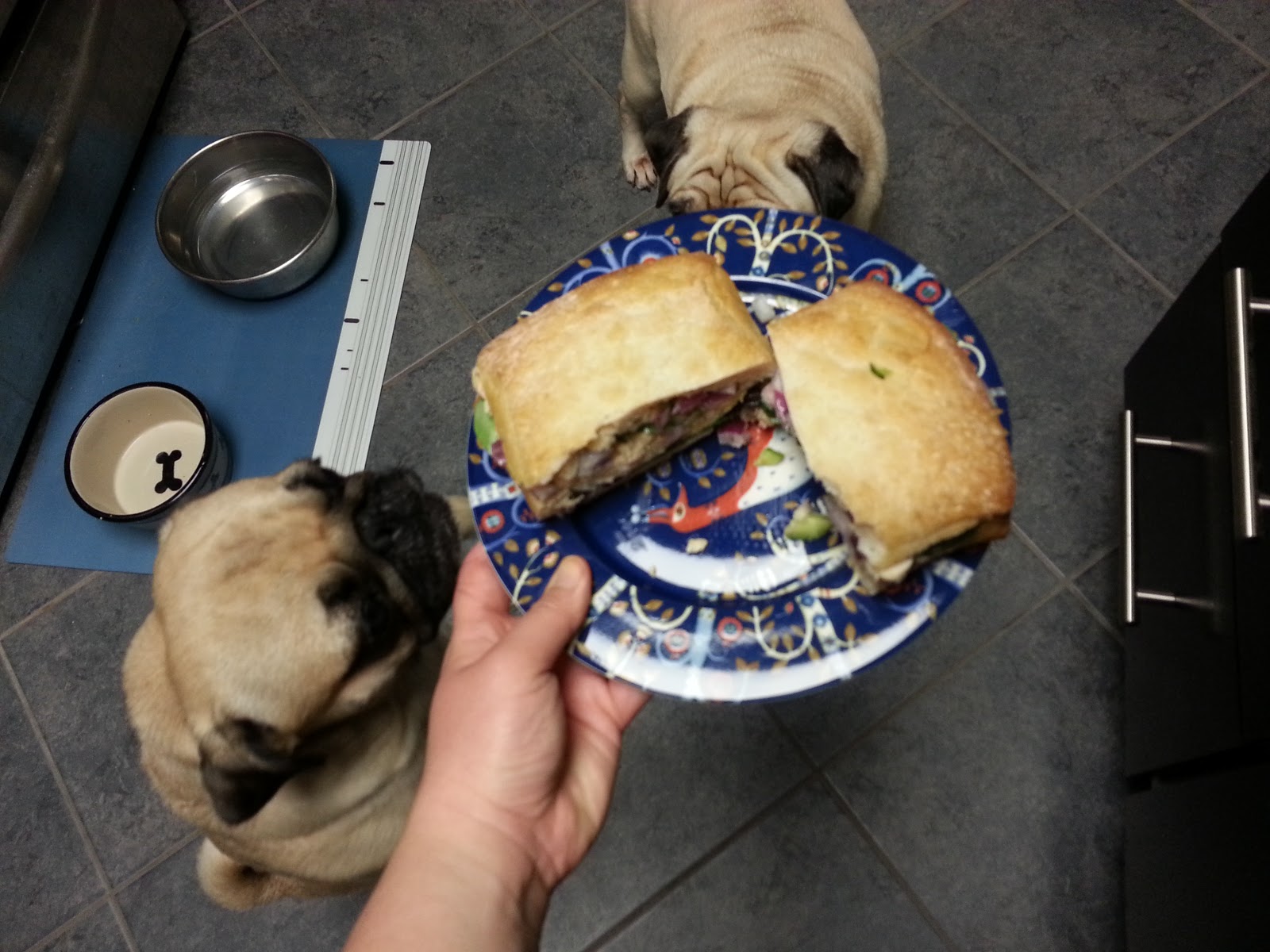 Grubbin' Pugs: Tuna Nicoise Sandwich
