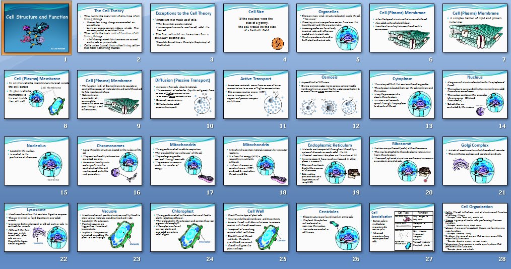 The Lesson Guide: NEW Bundle - Cell Unit - 21 Files