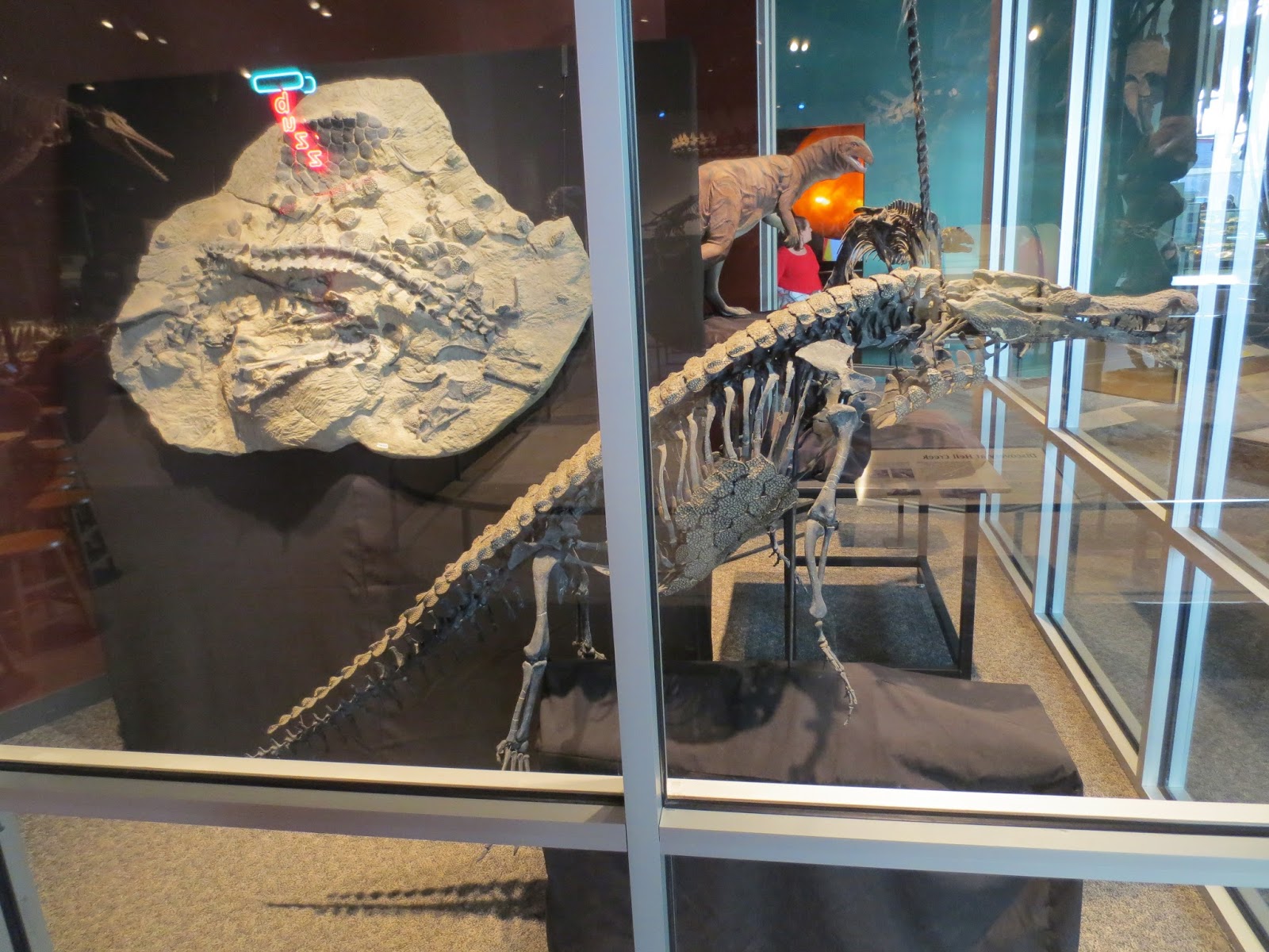 Equatorial Minnesota: Fossil Crocs of the Science Museum
