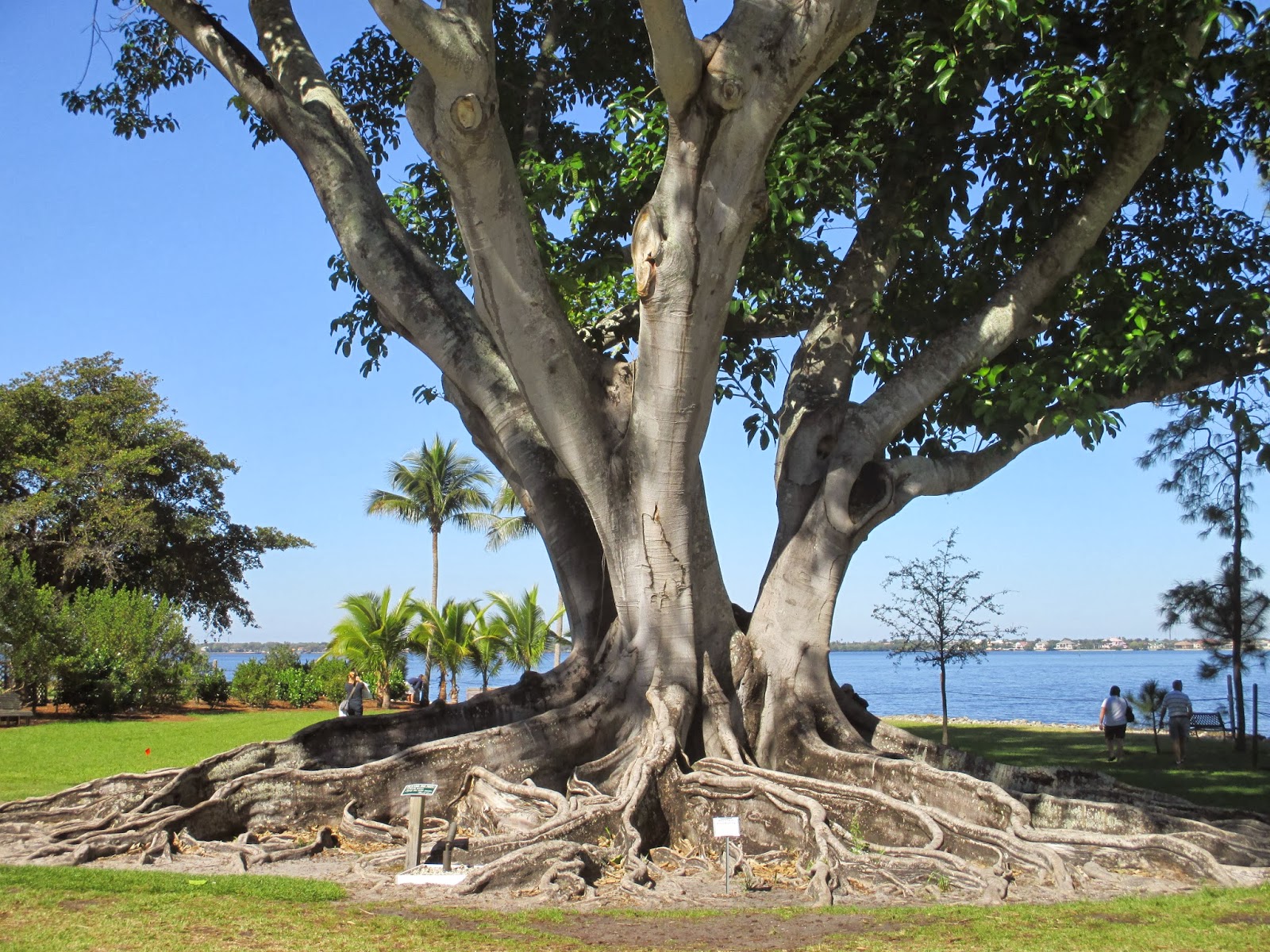 The Life and Times of SIT: No It Is Not Spring Break But