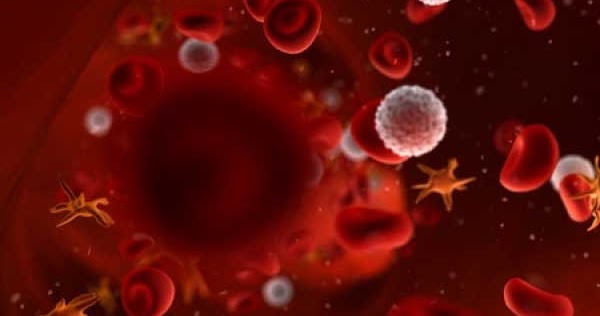 Jumlah dan Fungsi Keping Darah (Trombosit) Dalam Tubuh | simpleNEWS05 ...