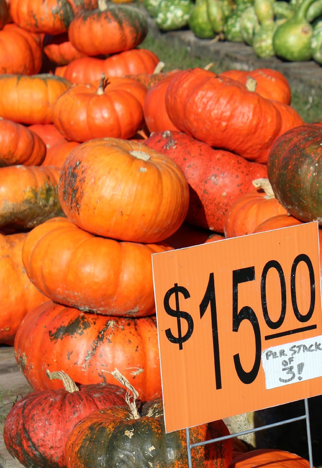 Ramblings of a Southern Girl: Painted Pumpkin Pallet & A Pumpkin Patch ...